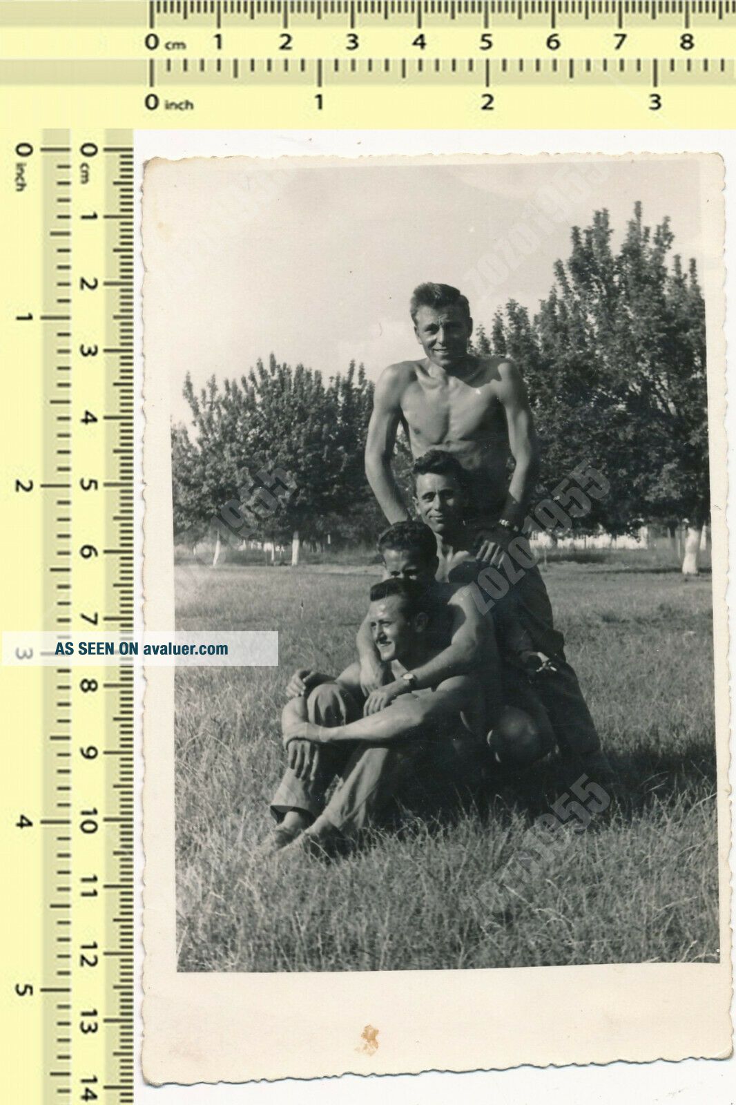 Group Of Beefcake Shirtless Guys Men Gay Int Old Photo Snapshot | #2803692