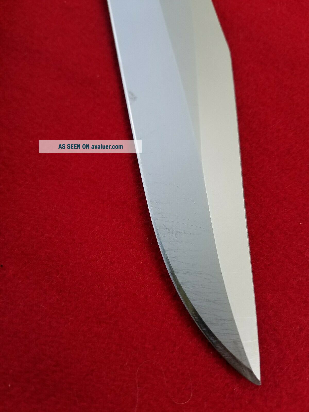 GERBER KNIVES BMF KNIFE But Solid W/ Sheath NO Saw Teeth 52235 | #2853109