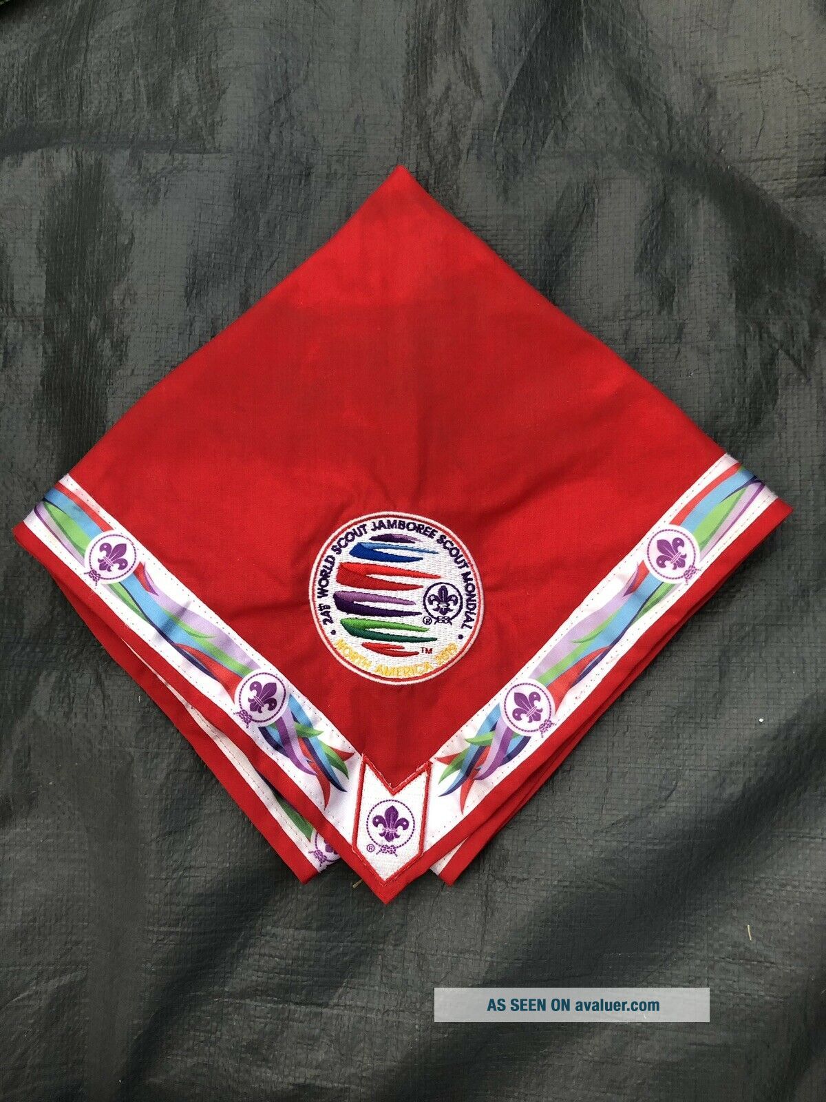 24th World Scout Jamboree 2019 Participant Red Neckerchief (Necker ...
