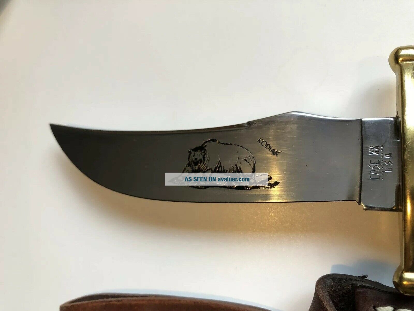 CASE XX KODIAK FIXED BLADE HUNTING KNIFE HANDMADE IN USA STAG HANDLE ...