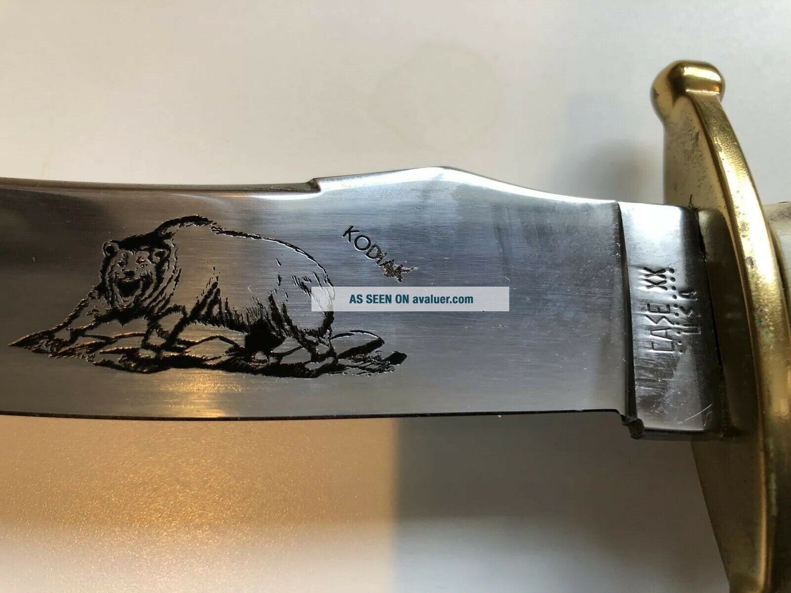 CASE XX KODIAK FIXED BLADE HUNTING KNIFE HANDMADE IN USA STAG HANDLE ...