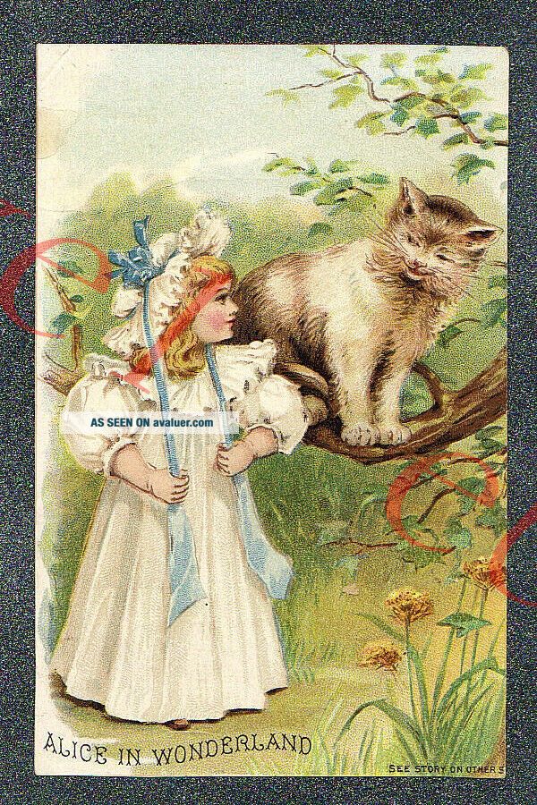 TOLEDO OHIO ALICE IN WONDERLAND CHESHIRE CAT - Circa 1900 Trade Card ...