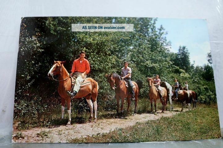 Pennsylvania PA Sheldon Calvary Camp Postcard Old Vintage Card View ...