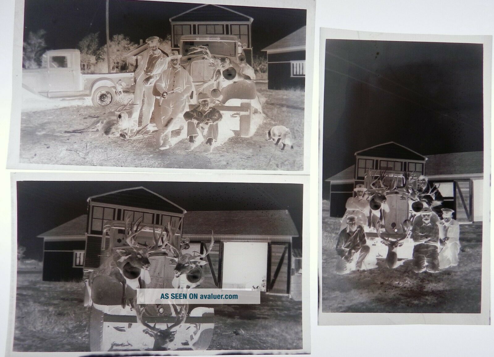 Vtg Antique 1930s Hunting Life Photo Snapshot NEGATIVES Men Pose Deer ...