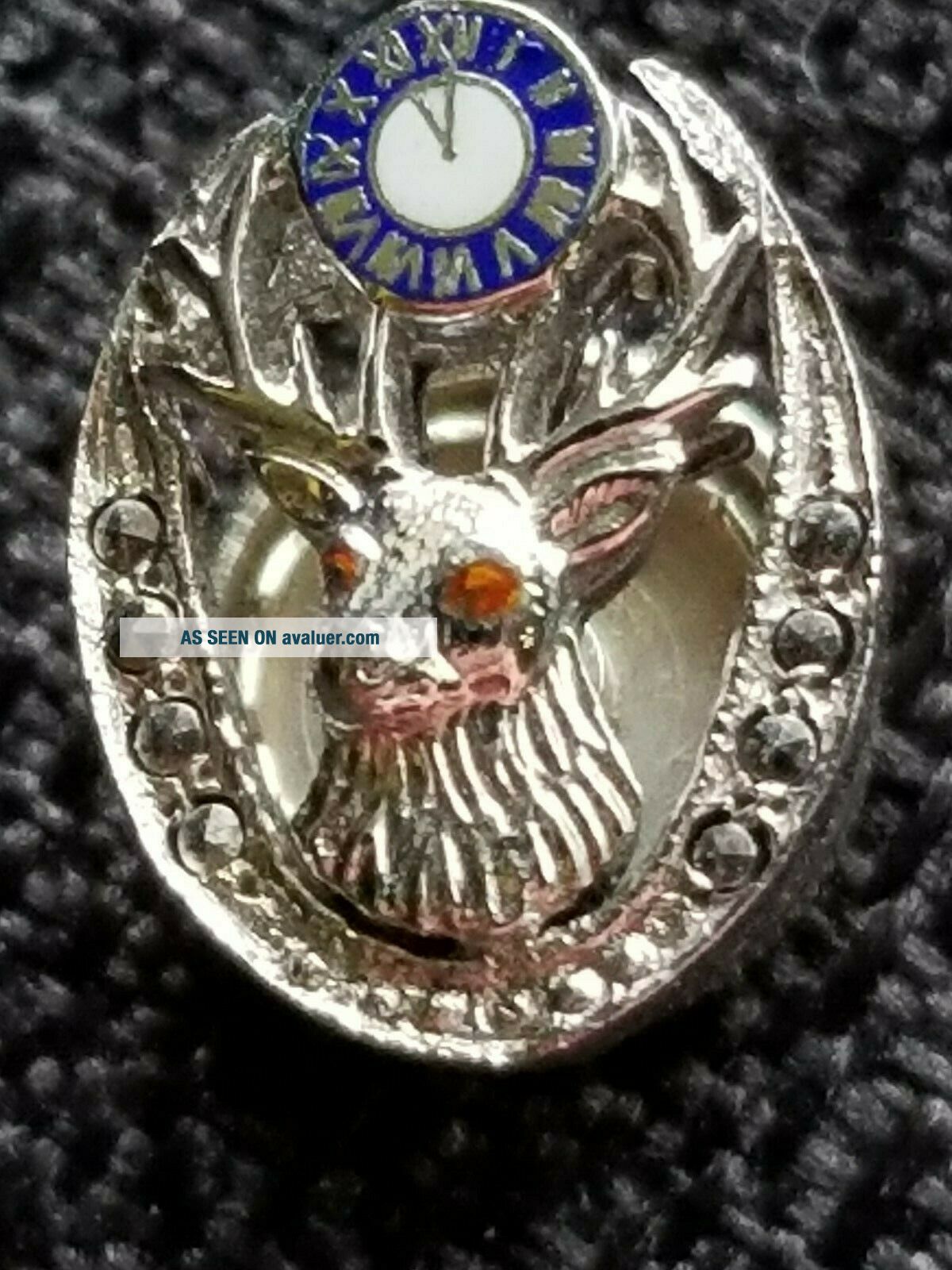 Elks Lodge Lapel Pin | #3557716
