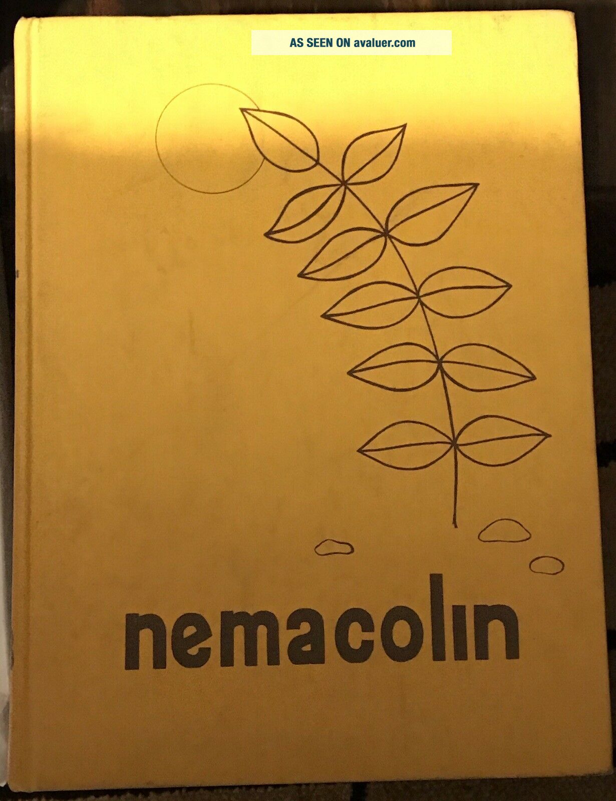 1973 Frostburg State College University FSU Nemacolin Frostburg MD ...