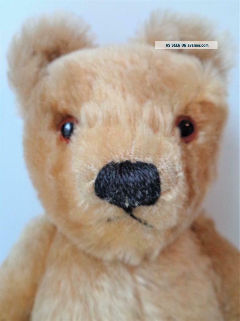 15 " Antique Vintage English FARNELL ALPHA Teddy Bear With Press ...