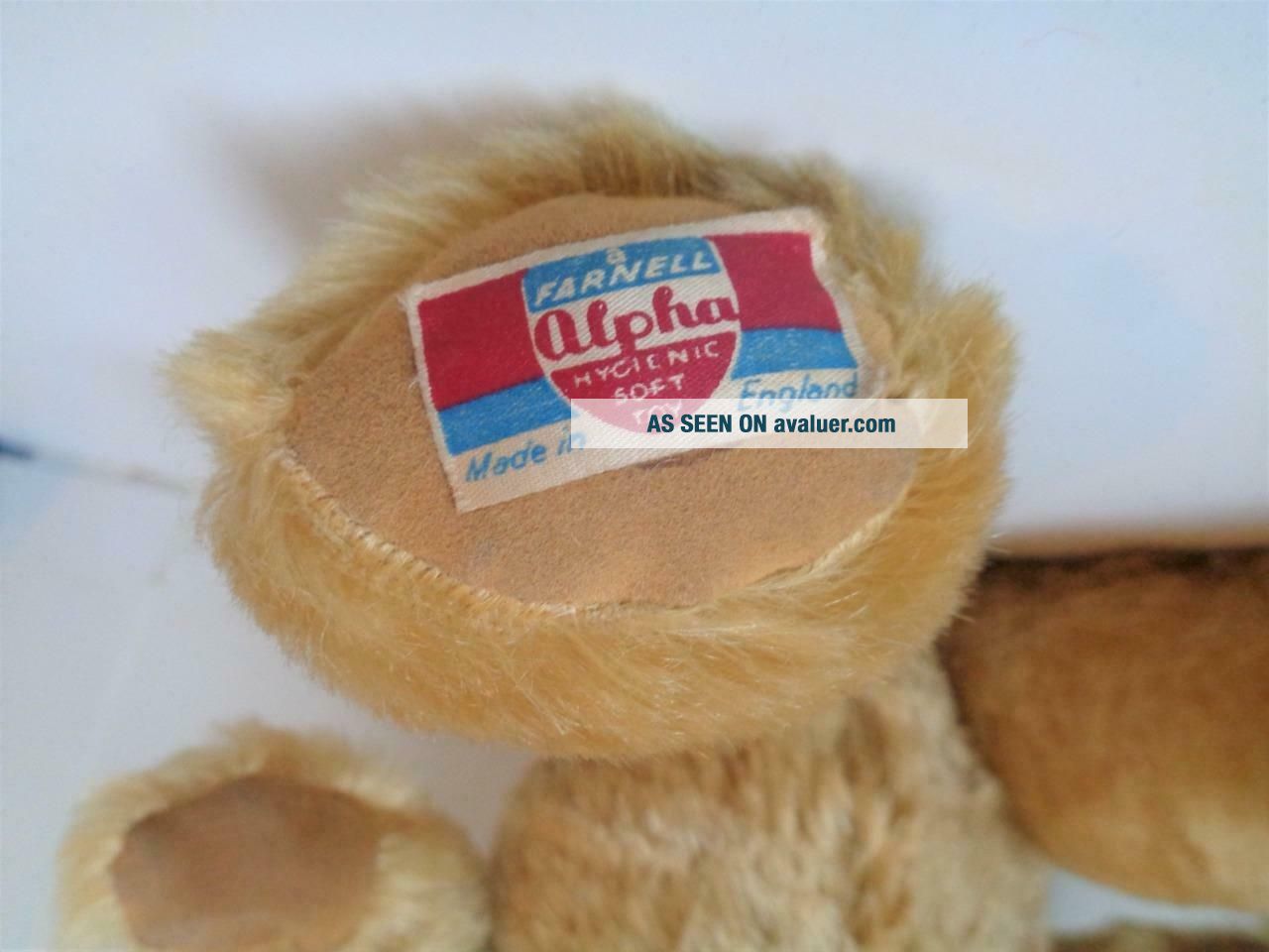 15 " Antique Vintage English FARNELL ALPHA Teddy Bear With Press ...