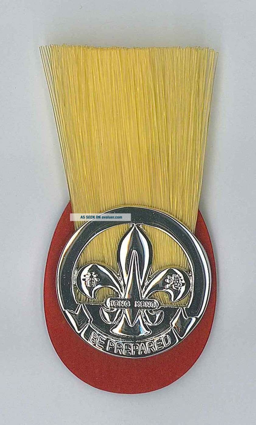 HONG KONG SCOUTS - Scout Instructor Metal Plume (Hat Patch) | #3869225