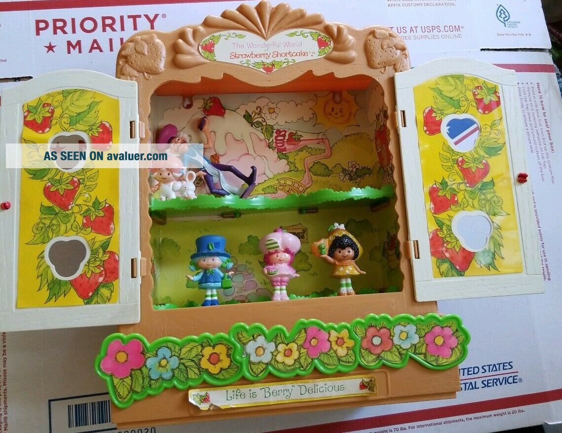 Vintage Strawberry Shortcake, Berry Patch Carry Case, Miniatures ...