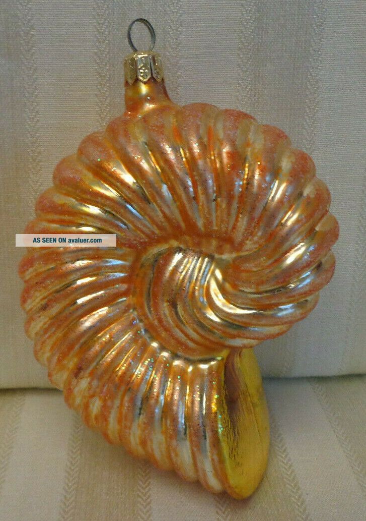Christopher Radko Glass Nautilus Shell Christmas Ornament | #4214354