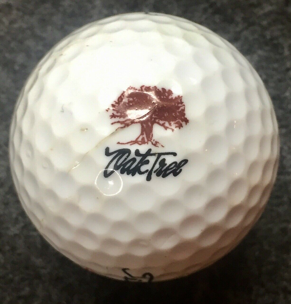 Collectable Oak Tree Golf Ball Titleist 4 National Man Cave C | #18914266