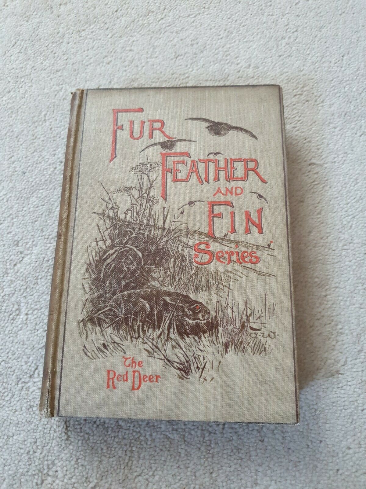 Vintage Fur Feather And Fin Series The Red Deer 1912 | #19355665