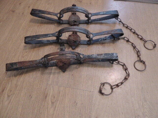Three Victor 4 Double Long Spring Traps - All Complete And Very Strong ...