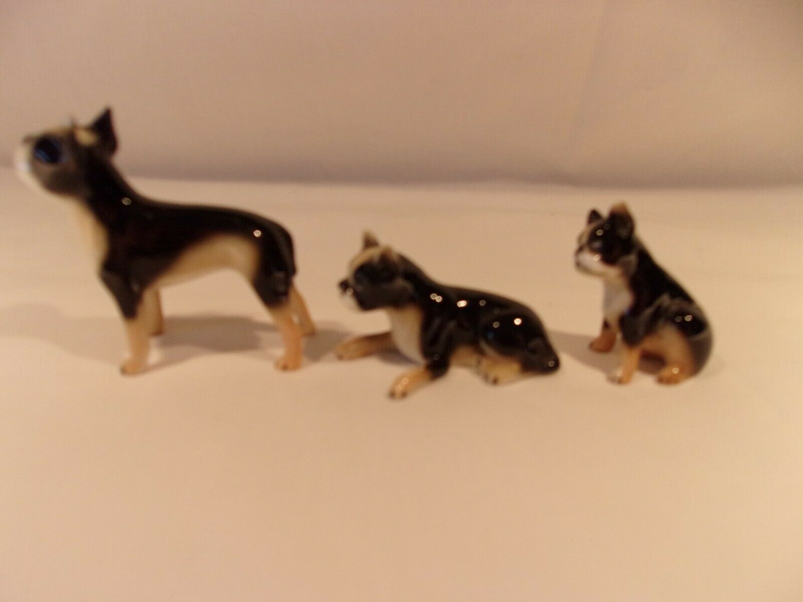 3 Vintage Miniature Bone China Boston Terrier Dog Shadow Box Figurines ...