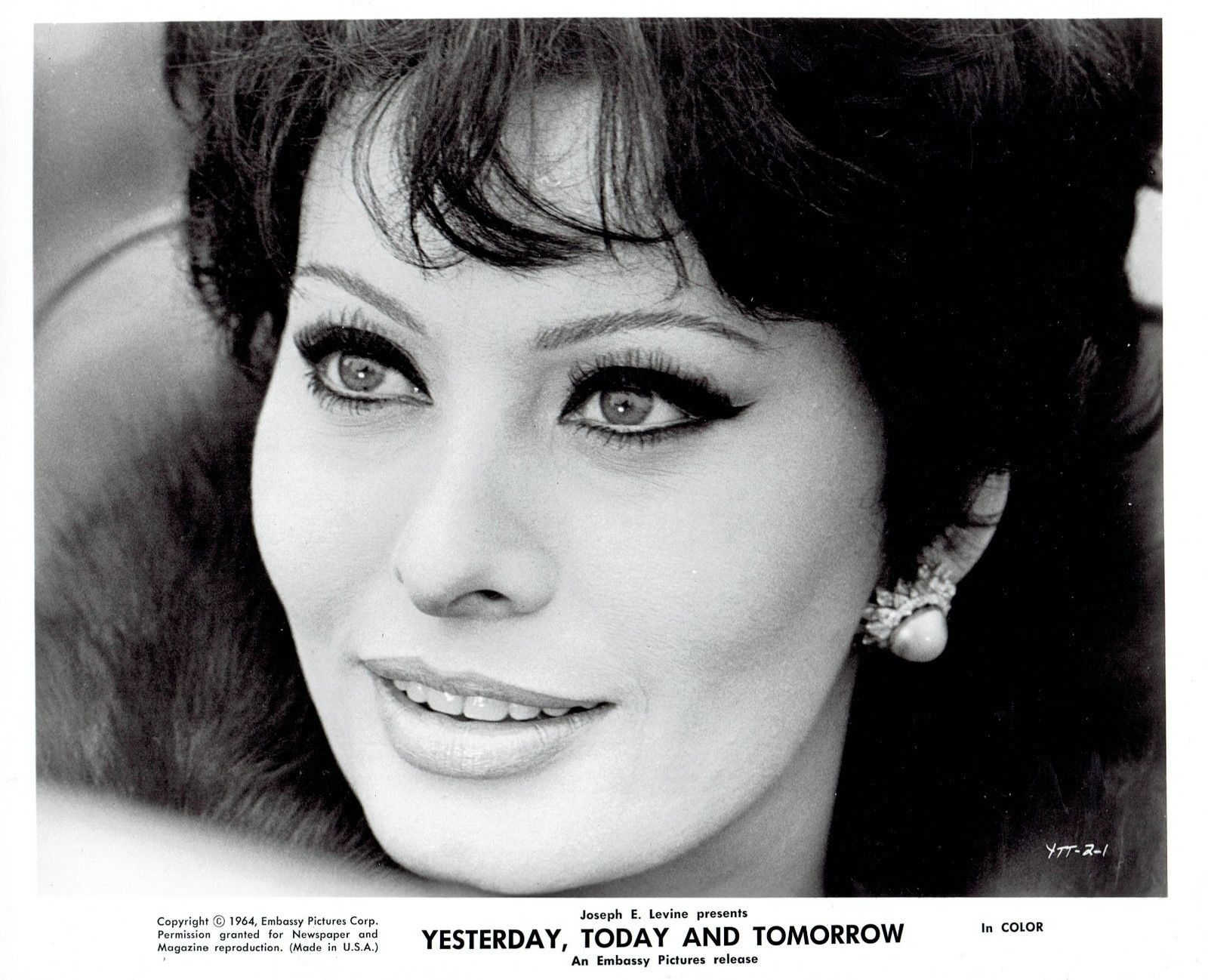 1964 Vintage Photo Close - Up Headshot Of Actress Sophia Loren Posing ...
