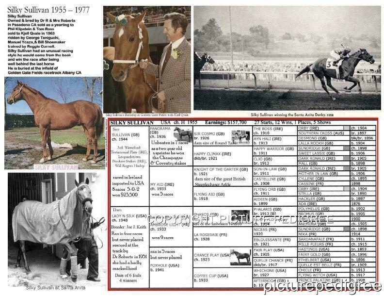 Horse Racing History SILKY SULLIVAN Bill Shoemaker Picture Pedigree ...