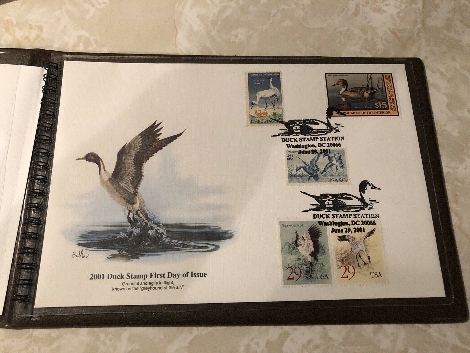 2001 Federal Duck Stamp First Day Of Issue Presentation Cover By ...