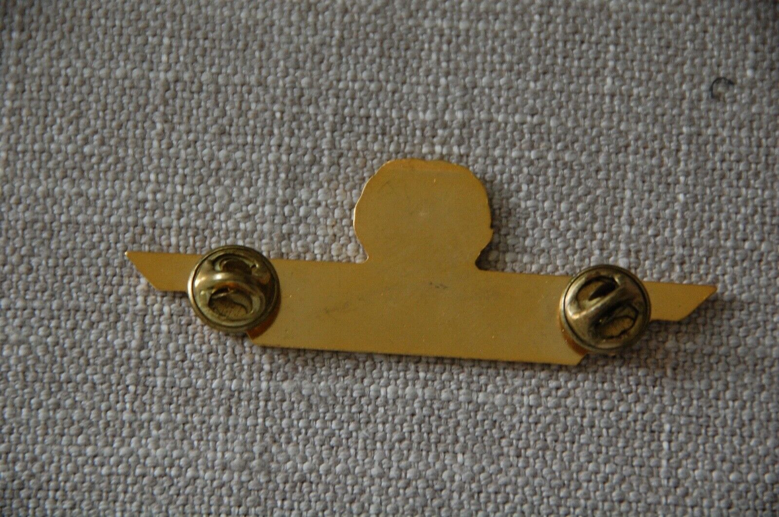 TRUMP Airlines Pilot Wing Badge Pin Wreath & Star | #17498636