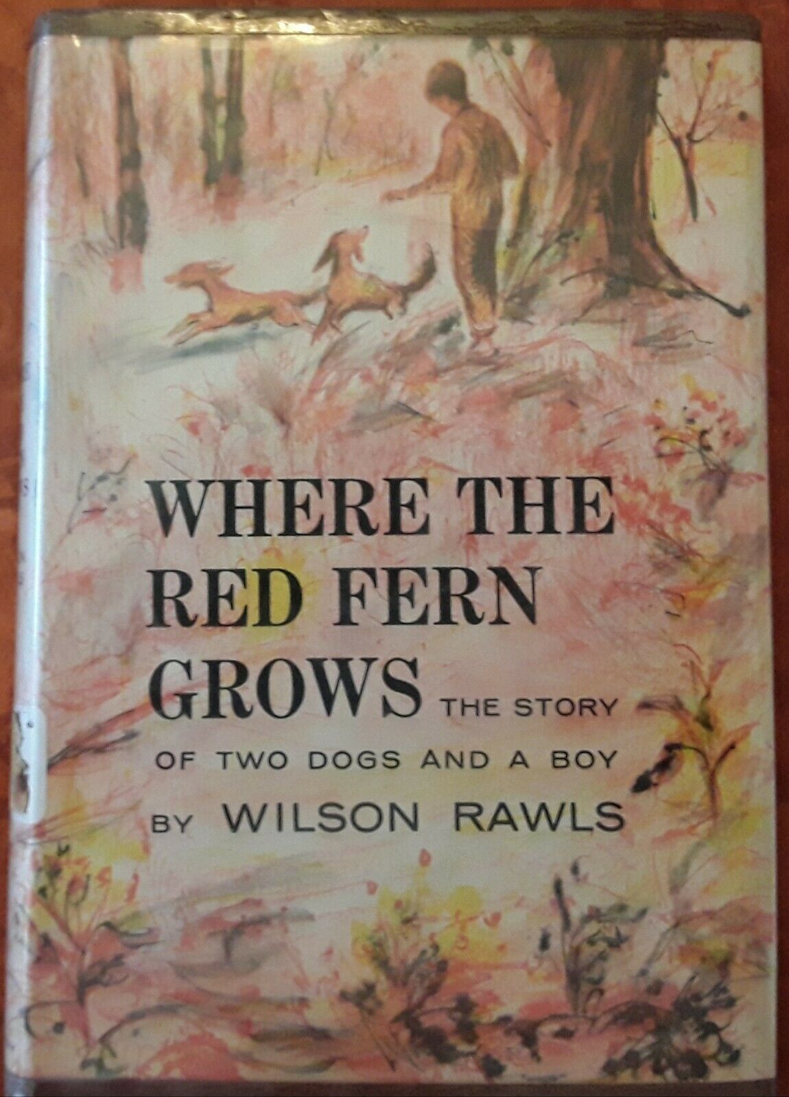 Where The Red Fern Grows Wilson Rawls Doubleday 1961 HC/DJ Vgc | #17128918