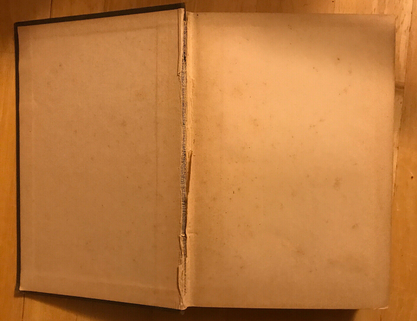 The Book Of Mormon, 1937, By Joseph Smith Jr. , MORMON H/C Bible ...